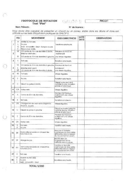 Les Poneys d'Alice - Galop 5