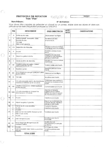 Les Poneys d'Alice - Galop 6